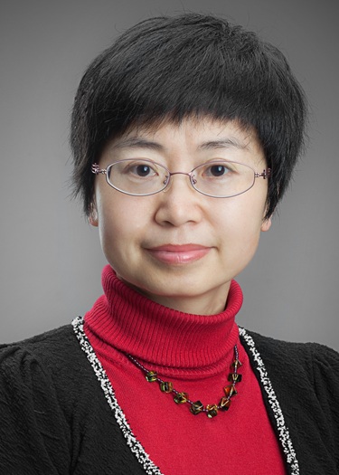 Sidley Represents Casa Systems in Chapter 11 Filing | News | Sidley ...