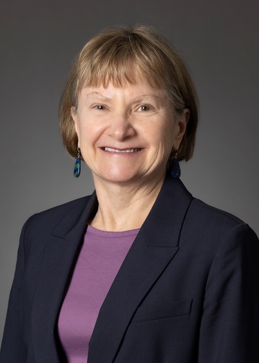 Insurance Disputes | Sidley Austin LLP