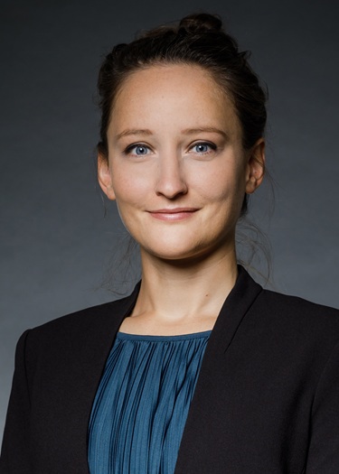 Sidley Represents Stellex Capital Management on Acquisition of ...