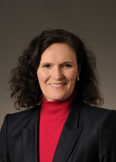 Tax Law | Sidley Austin LLP